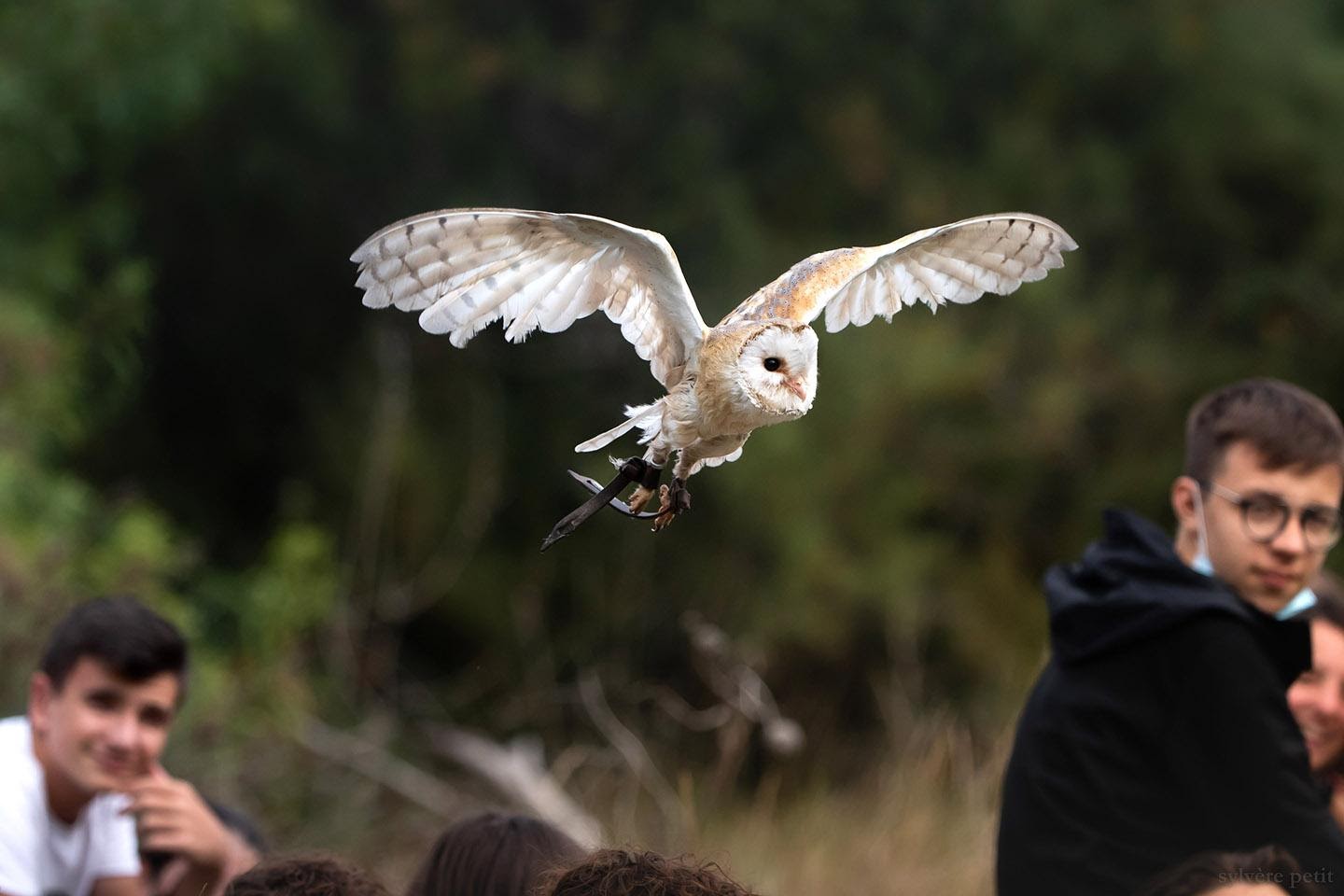 Animateur animalier Les enseignements optionnels - Campus Terre & Nature