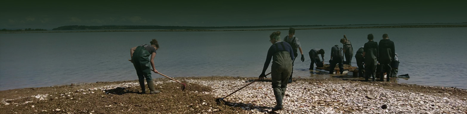 BAC PRO GMNF Après la seconde - Campus Terre & Nature