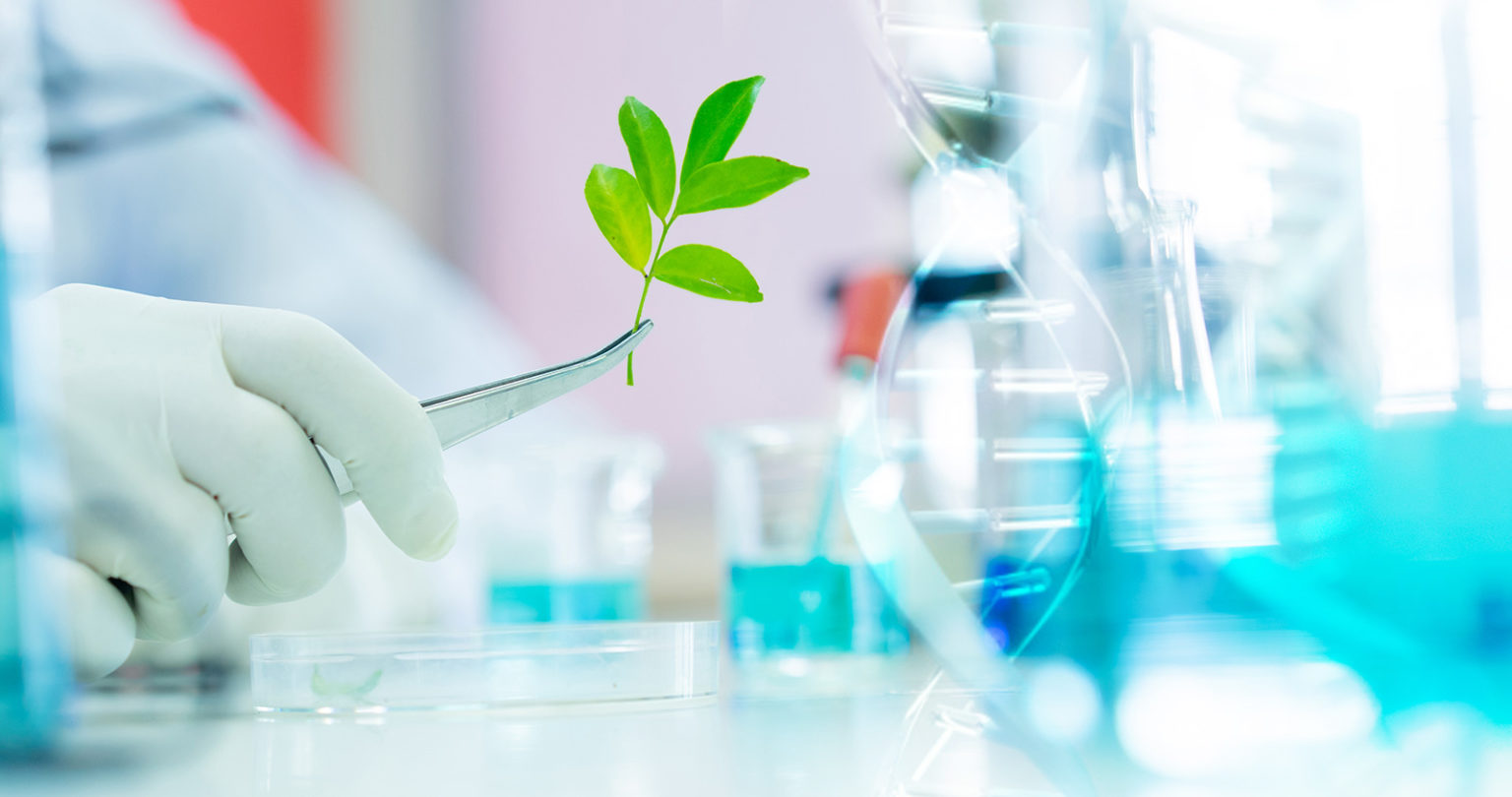 Sciences du vivant Les filières métiers - Campus Terre & Nature