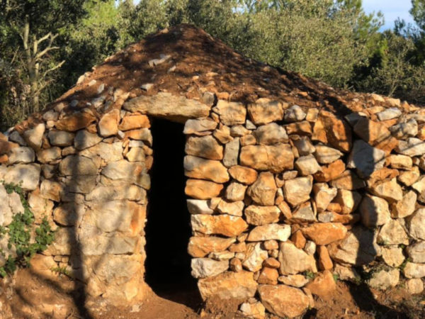 BAC PRO GMNF Après la seconde - Campus Terre & Nature